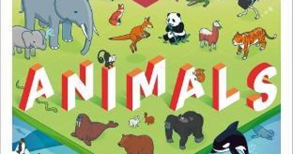 Discovery Lift The Flaps : Animals