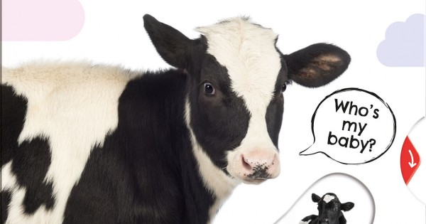 First Facts Farm Animals