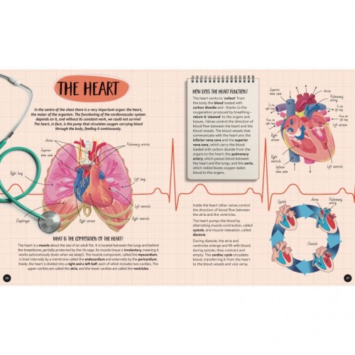 What, How, Why : Human Body